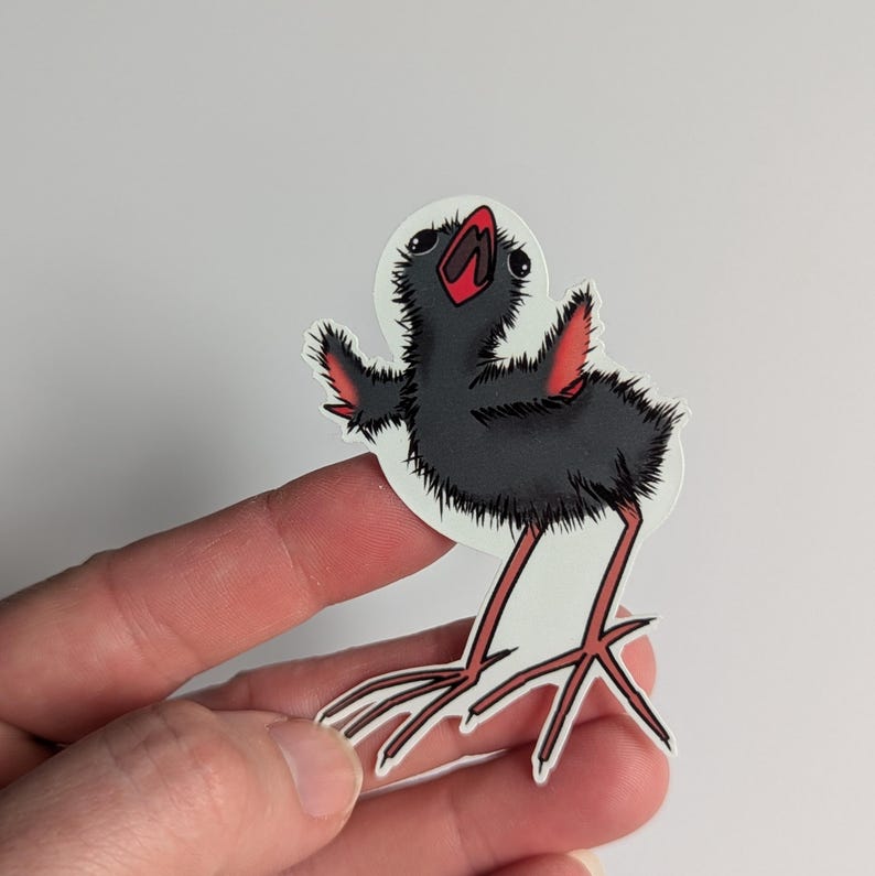 Pukeko Chick Sticker | Funny Yelling Baby Bird Art - Etsy