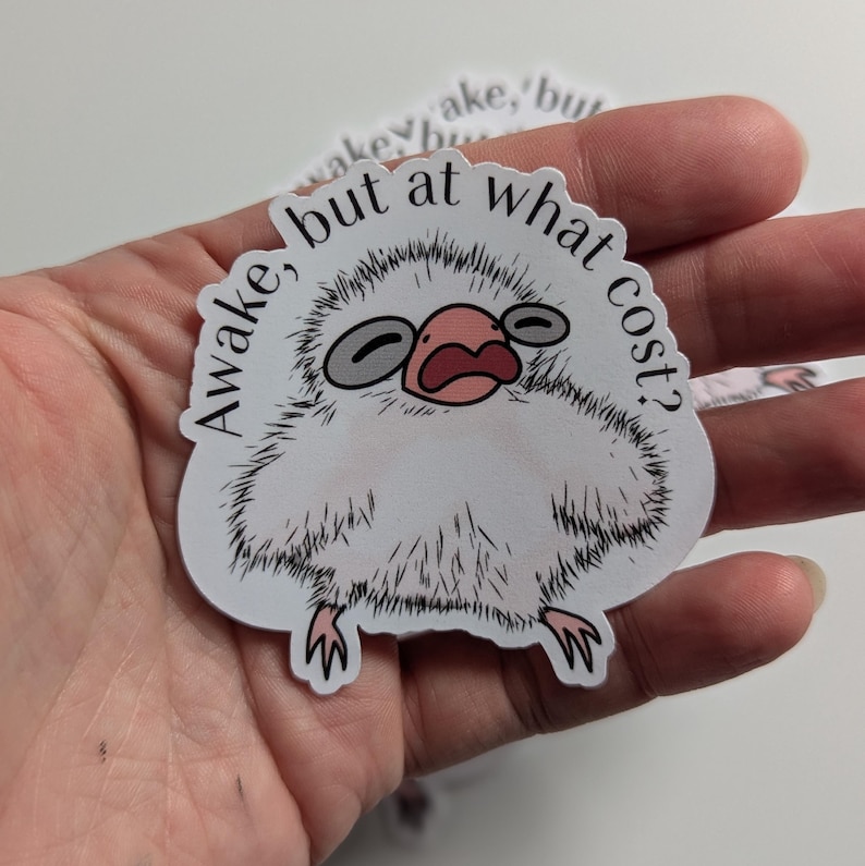 Baby Falcon Awake Sticker | San Antonio Zoo African Pygmy Falcon, Gifts ...