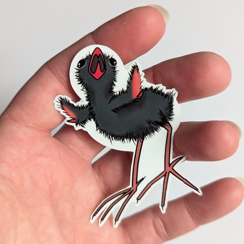 Pukeko Chick Sticker | Funny Yelling Baby Bird Art - Etsy