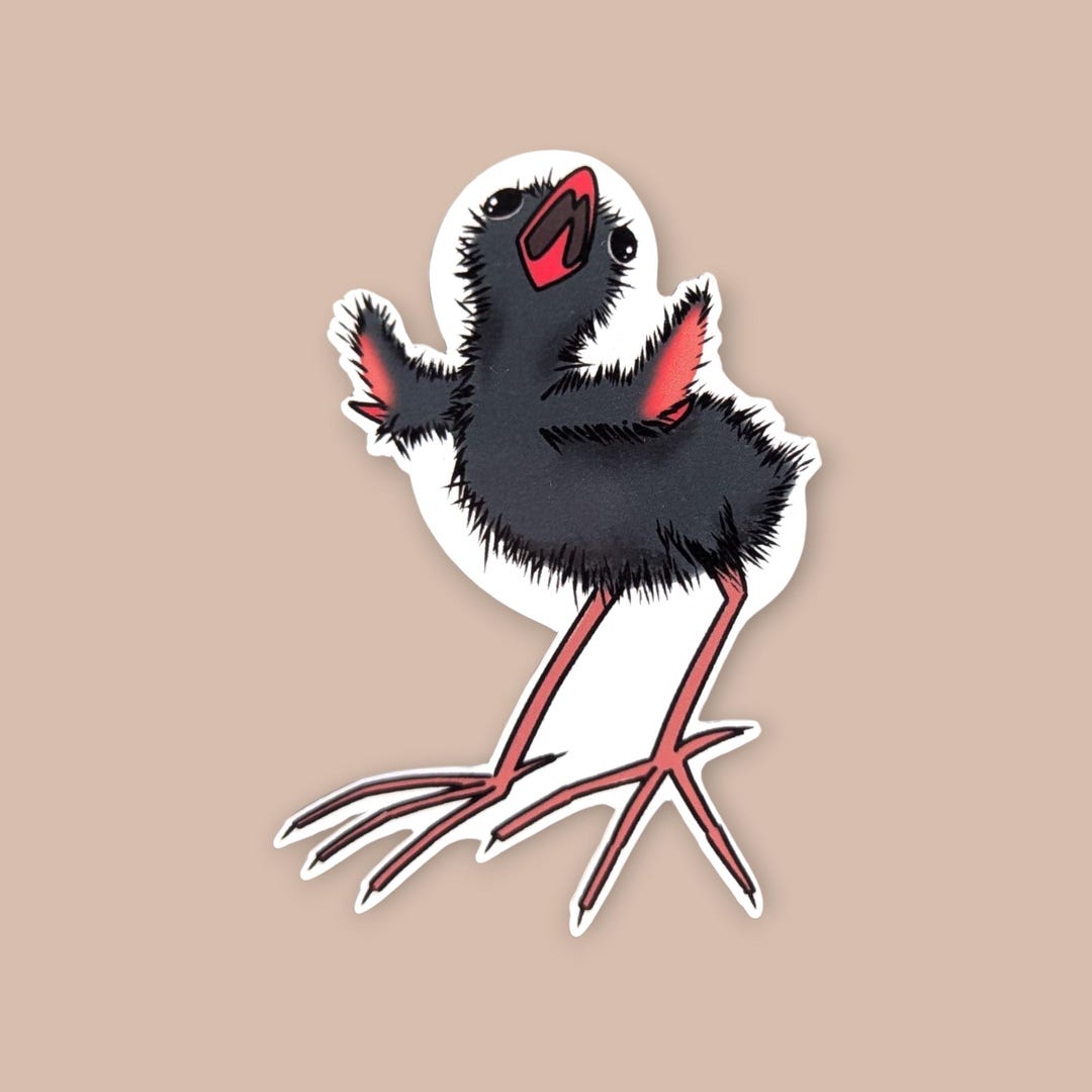 Pukeko Chick Sticker | Funny Yelling Baby Bird Art - Etsy
