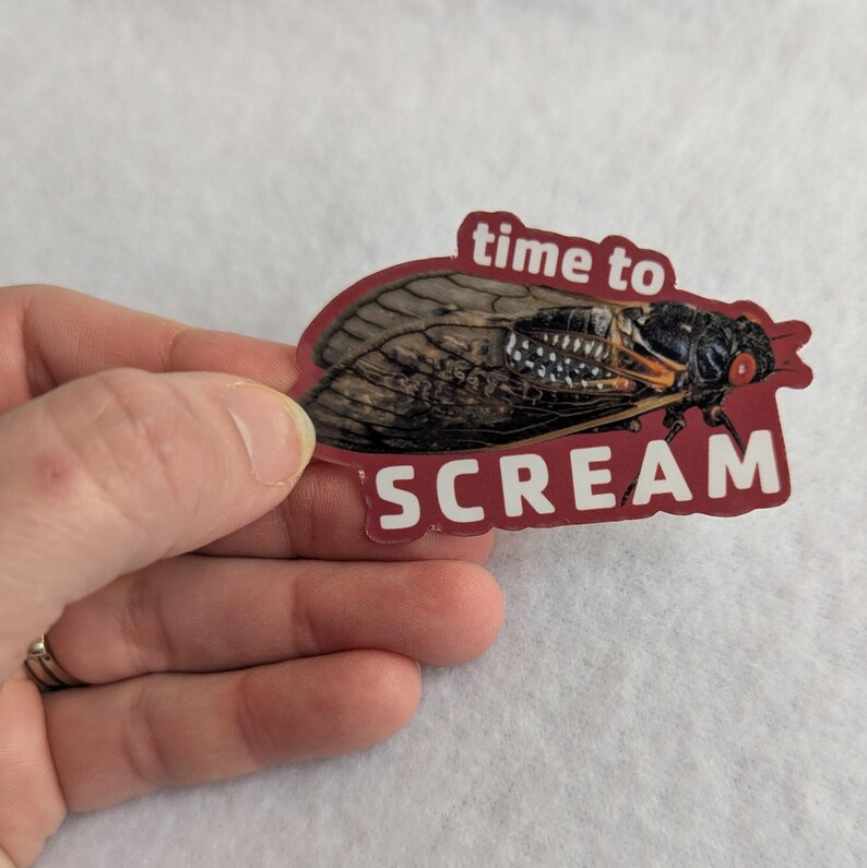 Funny Cicada Sticker: Time to Scream, Entomology Gift - Etsy