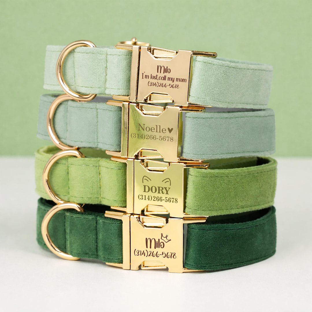 Personalized Dog Collar Leash Set With Bow, Green Velvet Collar ...