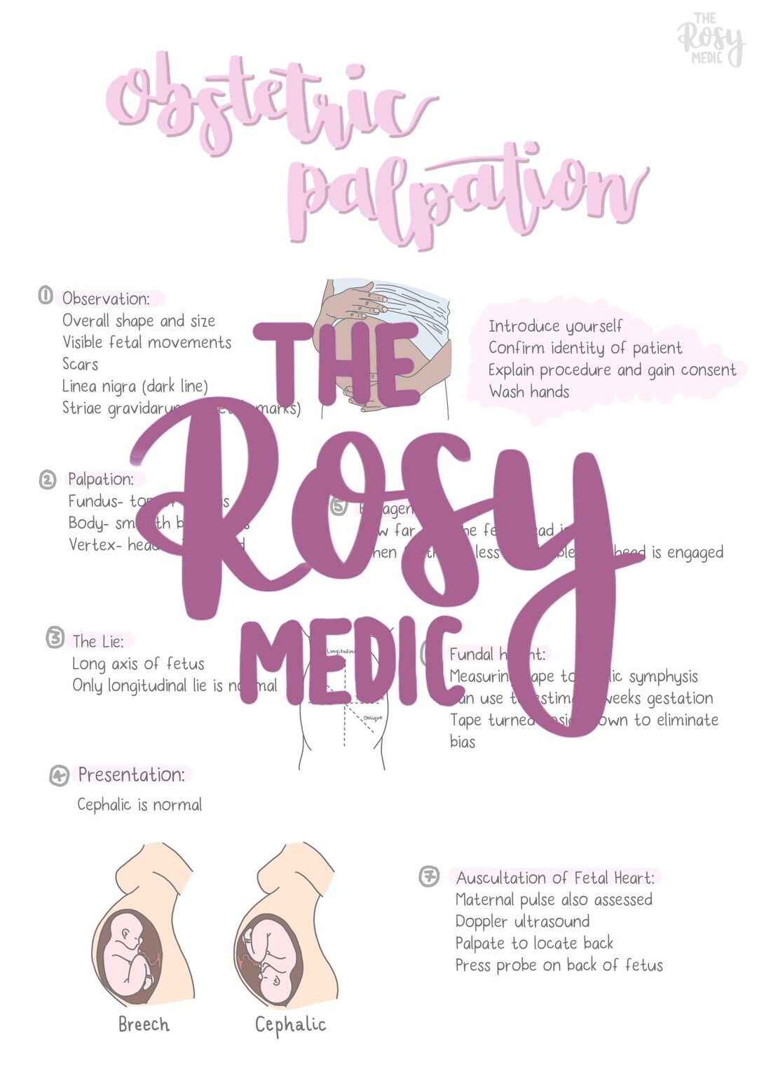 Obstetric Palpation OSCE Station Cheat Sheet | Medical Student ...