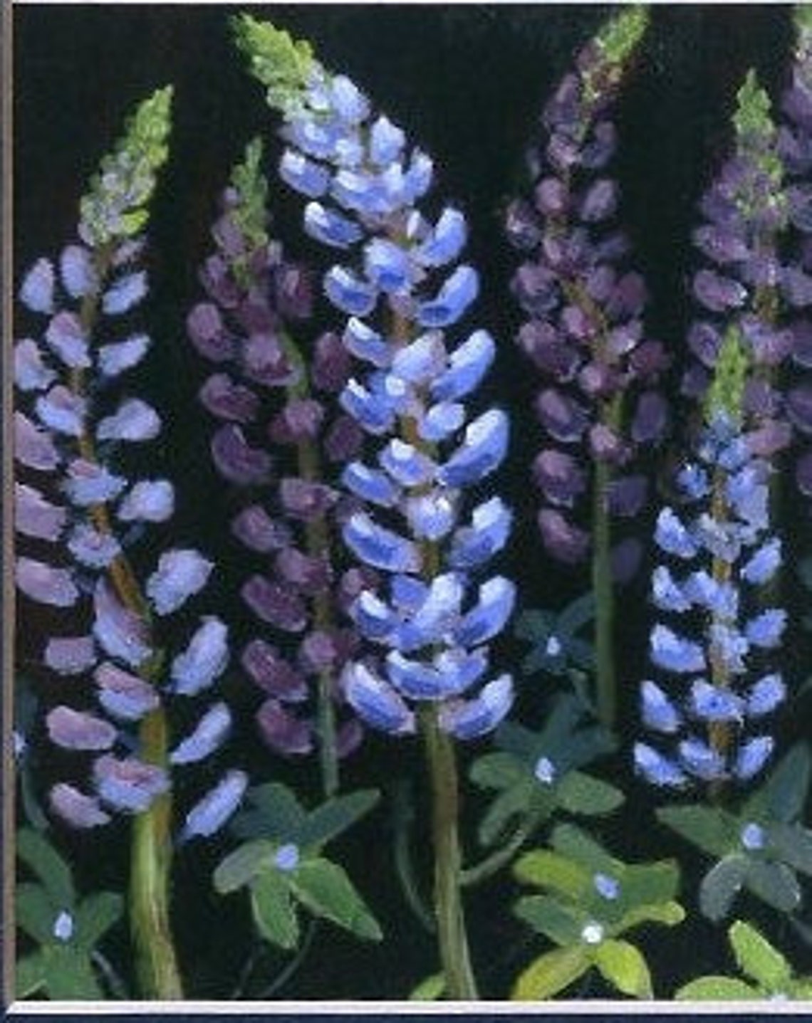 Blue Lupines Art Print Botanical Art Print Floral Home | Etsy