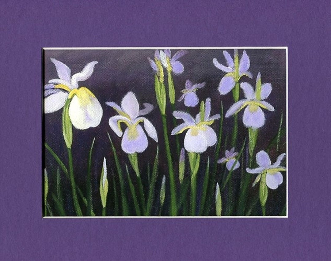 Maine Iris Garden Art Print Lavender Iris Art Print Iris Garden Print ...