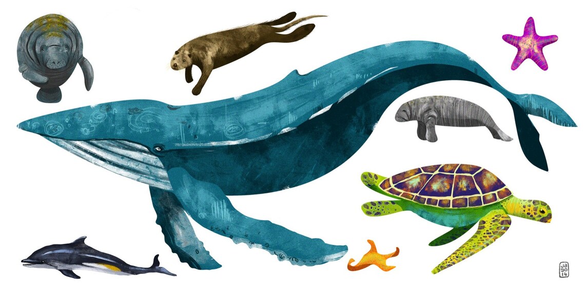 Sea Creatures Signed Print | Etsy