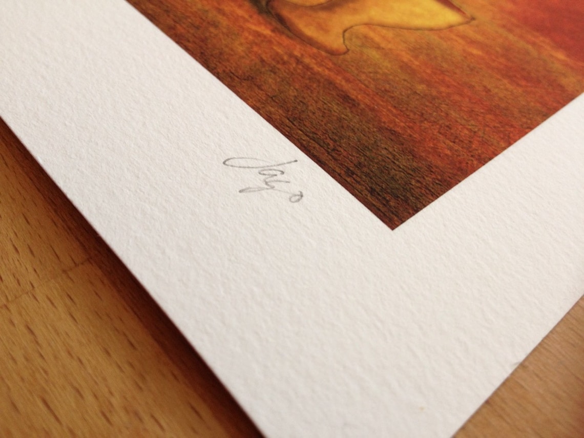 The Jesus Storybook Bible - Signed Print (page 48 - 49) - Etsy