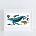 Sea Creatures Signed Print - Etsy