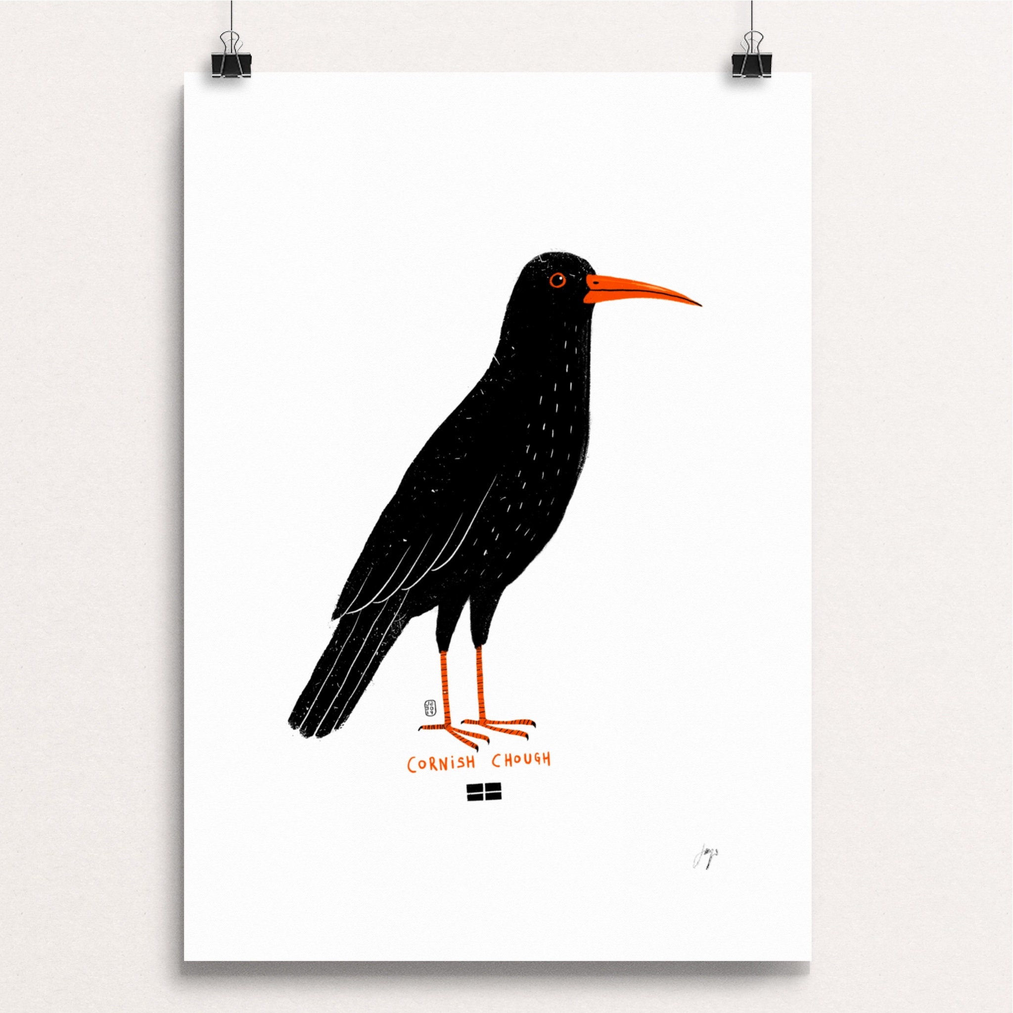 Cornish Chough Signed Print - Etsy UK