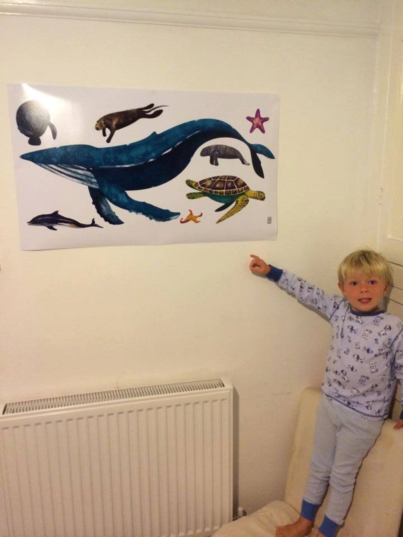 Sea Creatures Signed Print | Etsy