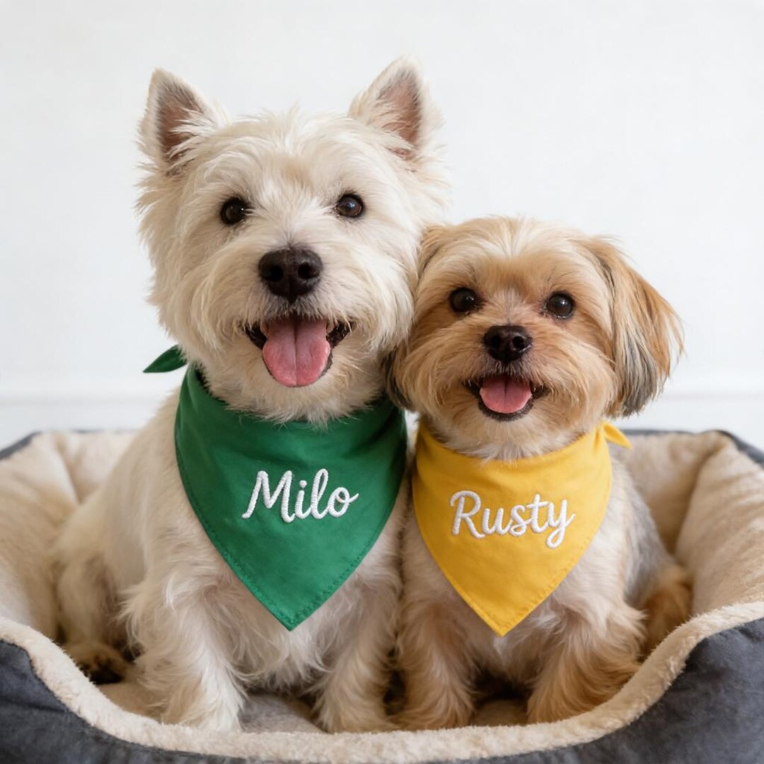 Personalized Dog Bandana, Custom Embroidered Pet Scarf, Dog Name ...