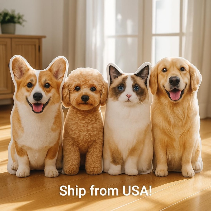 Custom Cat Gifts Pictures - 60+ Gift Ideas for 2025