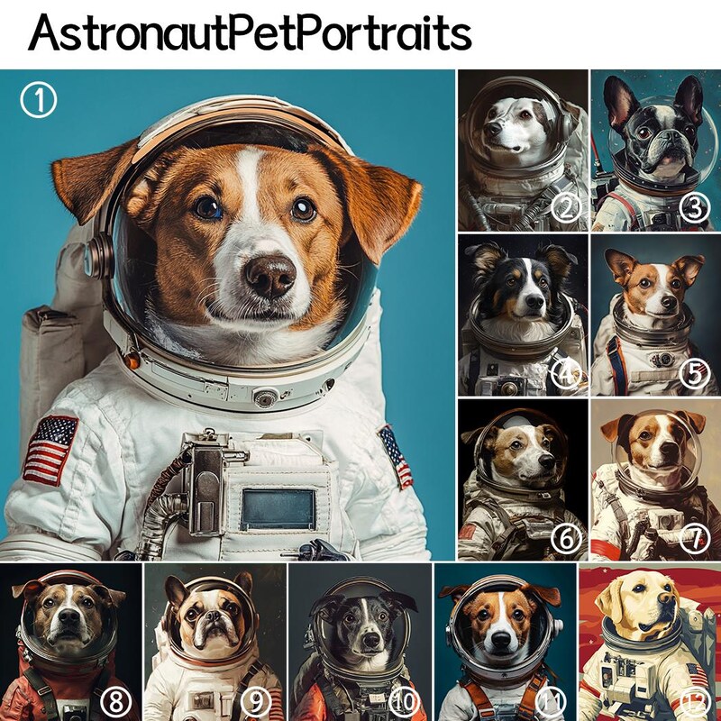 Space Dog Art - Etsy