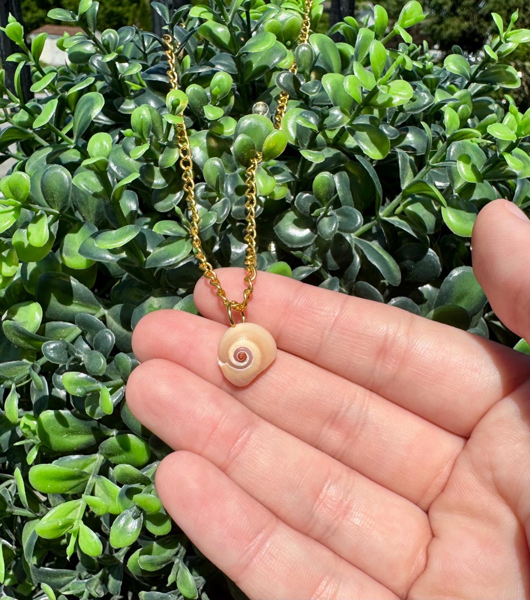 Shark's Eye Shell Necklace | 18 Inch Chain | Gold | Coastal Jewelry ...