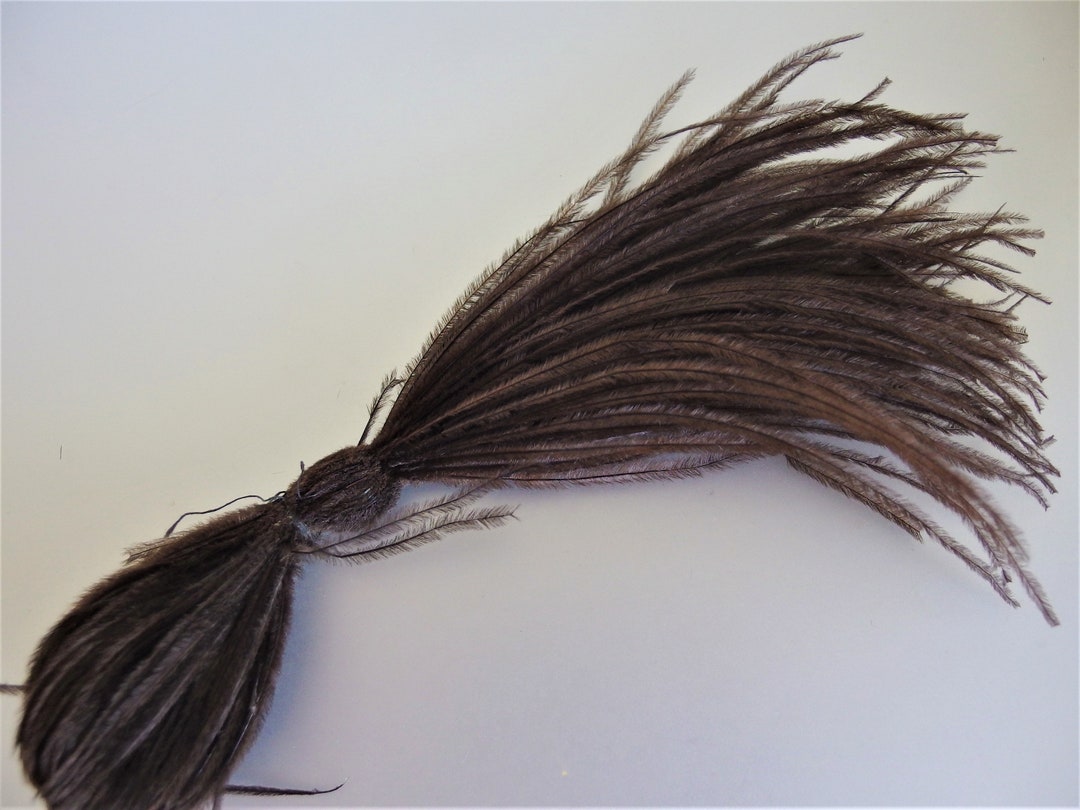 Vintage Chocolate Brown Millinery Ostrich Feather - Etsy