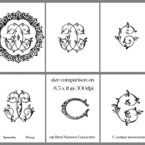 Antique Monogram Graphic Set the Beth Neumann Collection Symmetry C ...