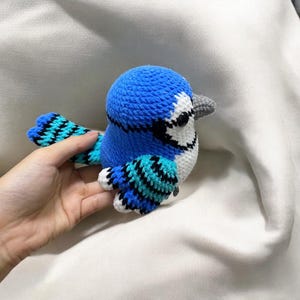 Blue Jay Amigurumi Crochet Pattern Beginner Friendly Pdf Digital