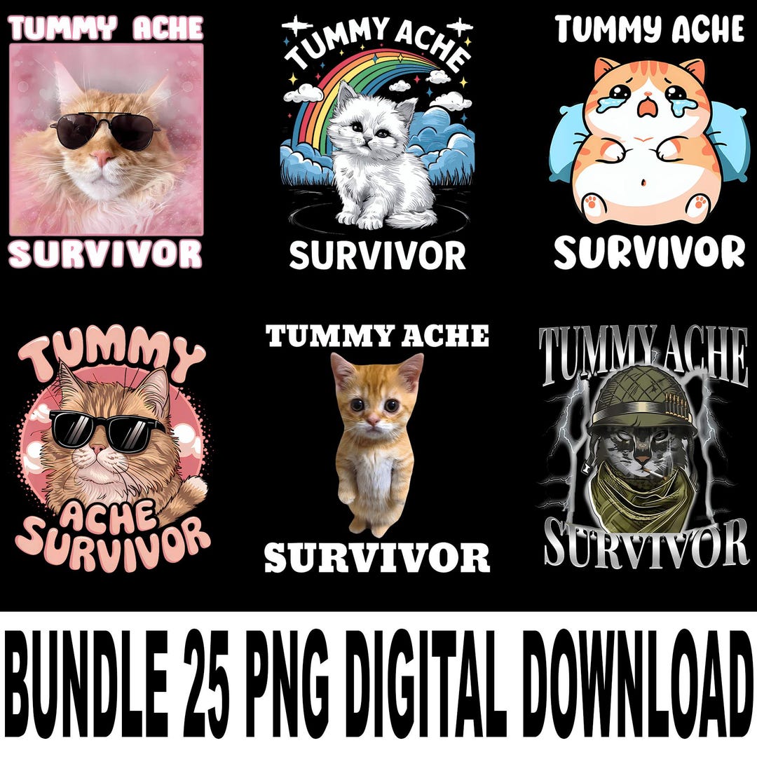 Tummy Ache Survivor Funny Cat PNG, Sarcastic Fat Cat Meme Design ...