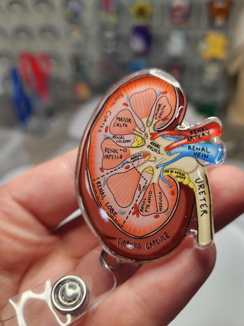 Anatomical Kidney Badge Reel: Nurse, Dialysis, Nephrology ID Holder - Etsy