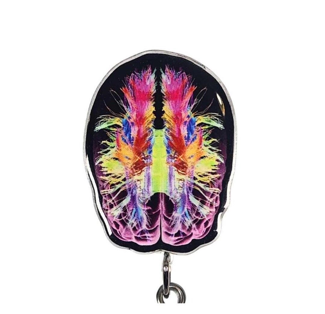 Anatomical Brain Badge Reel: Neurology Doctor Gift - Etsy