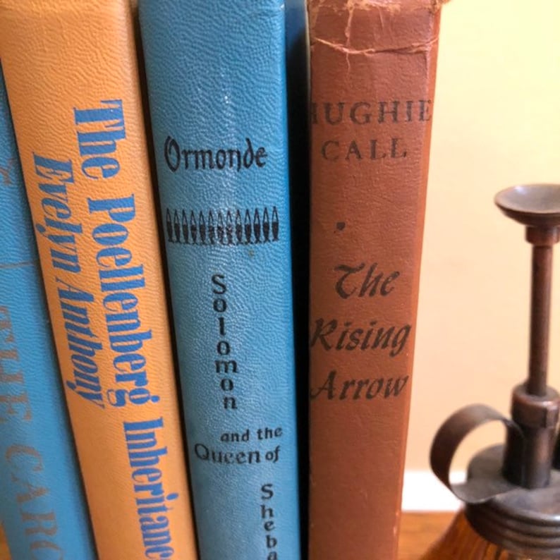 Vintage Book Set Blues and Tans Color Coordinated Books - Etsy