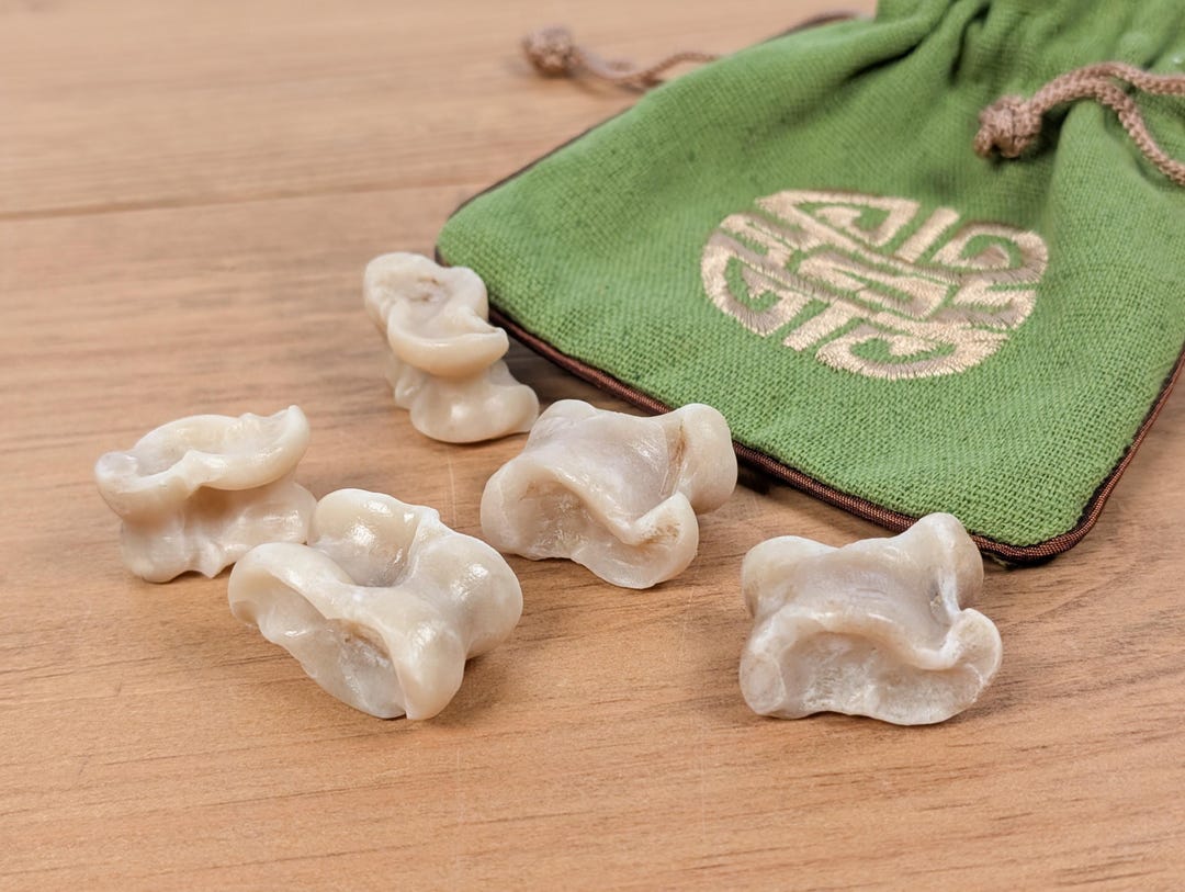 5x Shagai Ankle Bone Dice Set | Mongolian Fortune Telling Game | Sheep ...