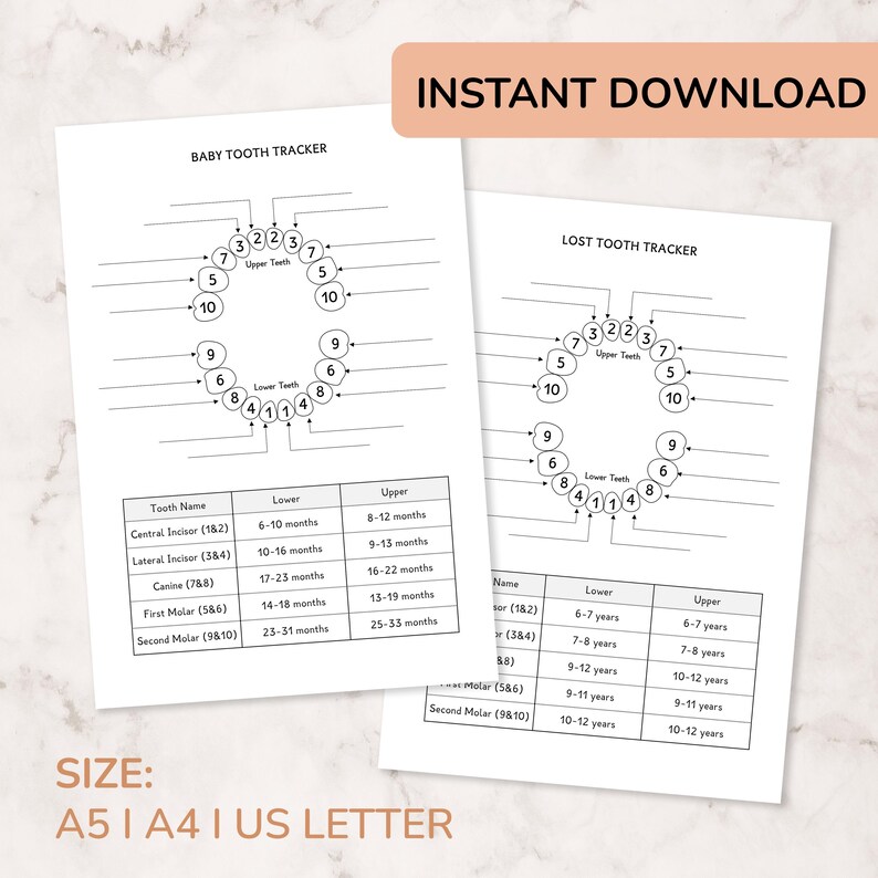 Baby Teeth & Lost Tooth Tracker – Printable Teething Chart (digital ...