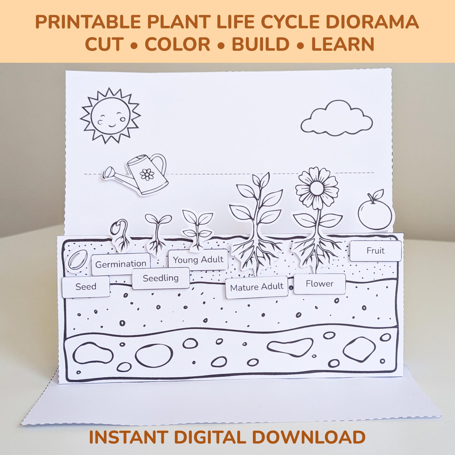 Plant Life Cycle Diorama Printable | 7 Stages Science Craft for Kids ...