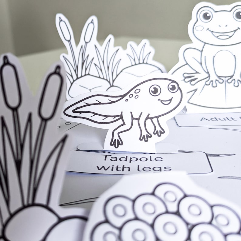 Frog Life Cycle Printable Diorama | STEM Science Craft for Kids ...