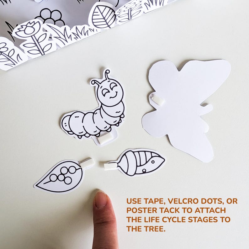 Butterfly Life Cycle Printable Diorama STEM Science Activity for Kids ...