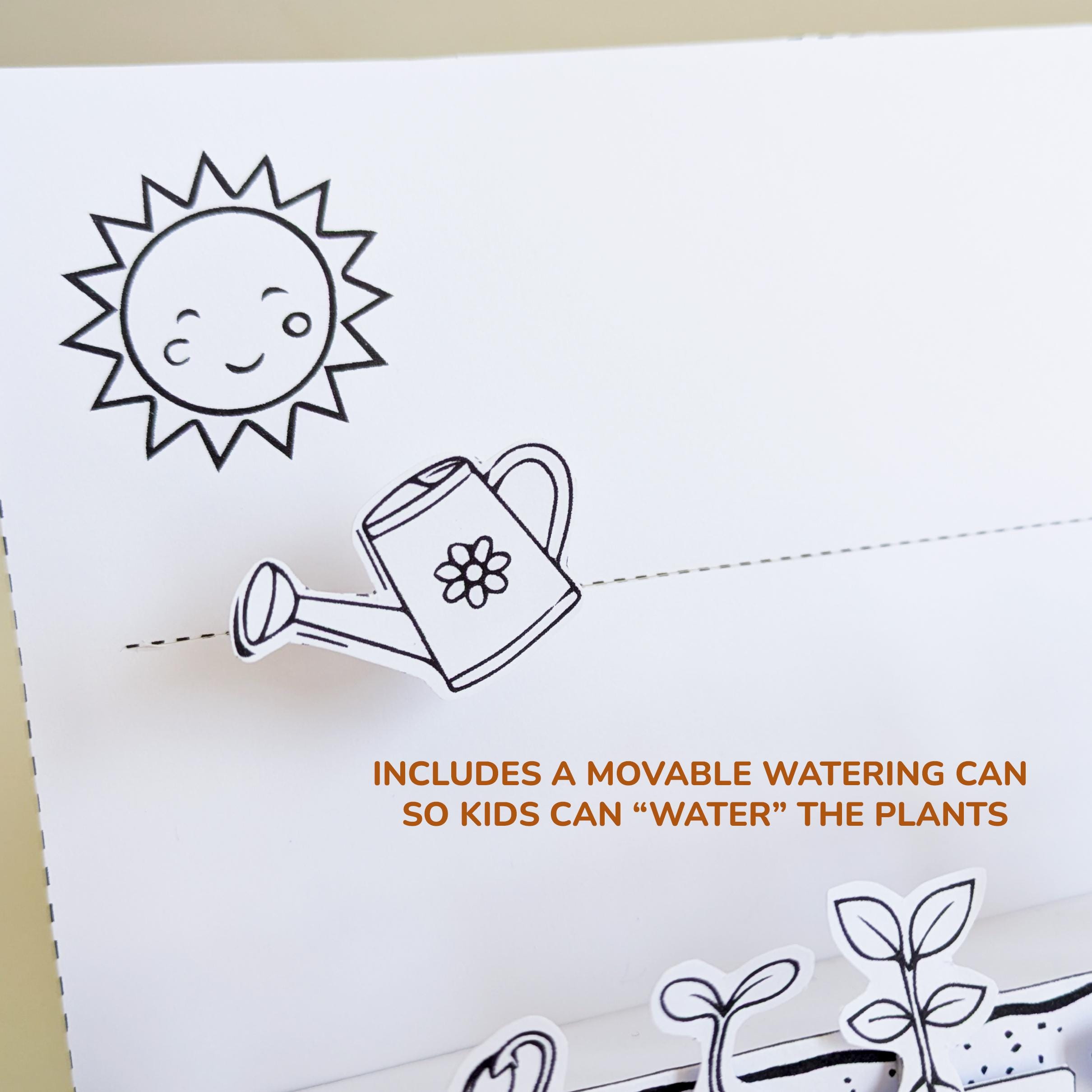 Plant Life Cycle Diorama Printable | 7 Stages Science Craft for Kids ...