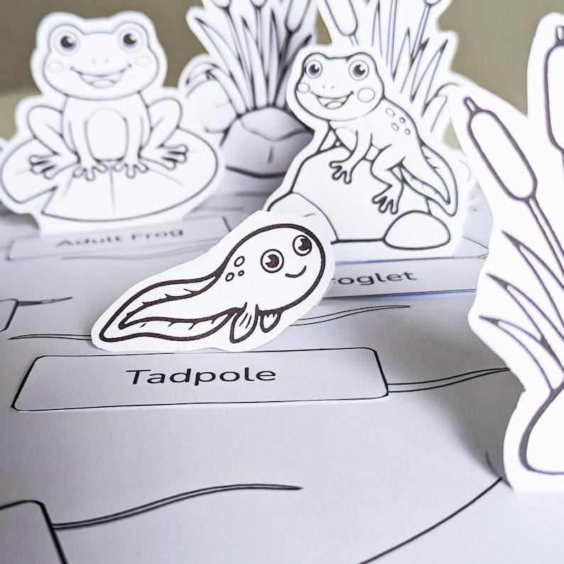 Frog Life Cycle Printable Diorama | STEM Science Craft for Kids ...