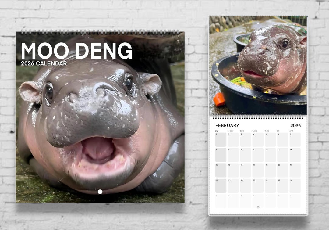 Moo Deng 2026 Calendar | Pygmy Hippo | Cute Animal | Baby Hippo | Funny ...
