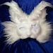 Silver Fox Tails - Etsy