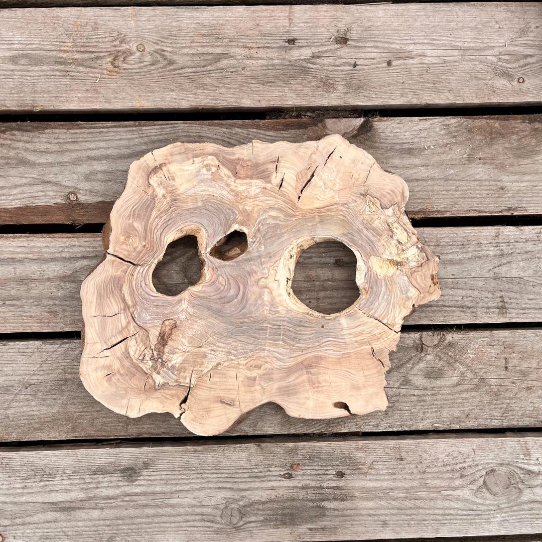 Live Edge Olive Wood Slab, 14"x12"x1", Natural Wood Slab, Tree Slice ...