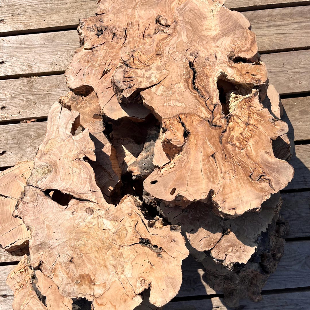 1.6" Thick Olive Wood Slab: Natural Burl Wood Pieces for Resin Art - Etsy