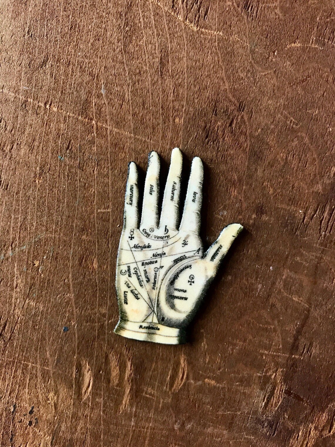 Palmistry Palm Reading Hand Lapel Pin Pinback Button or Necklace With ...