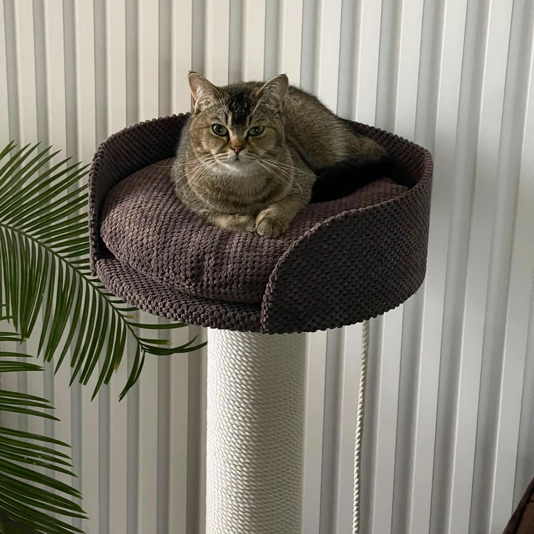 Scratching Post With a Round Pillar, Cat Scratcher With a Bed, Made of ...