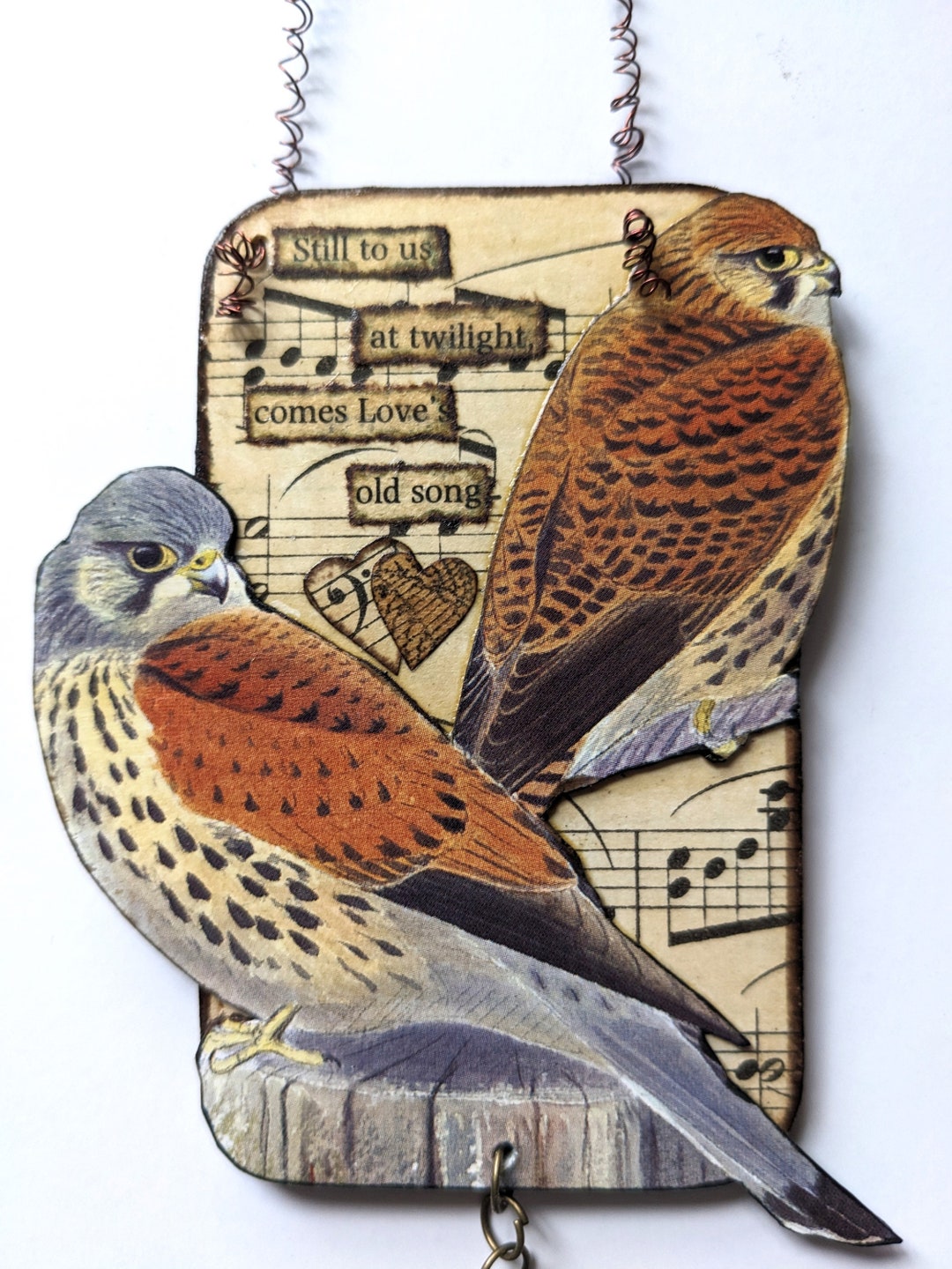 Kestrel Bird Wall Hanging: Vintage Sheet Music Art - Etsy