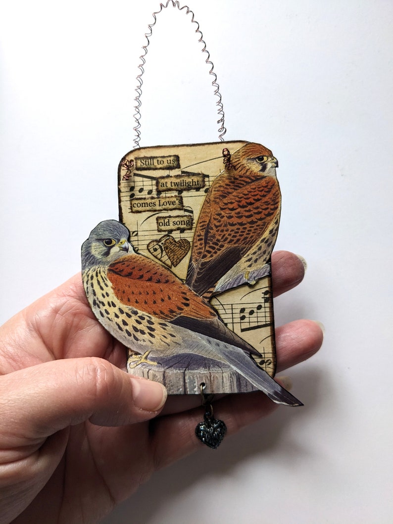 Kestrel Bird Wall Hanging: Vintage Sheet Music Art - Etsy