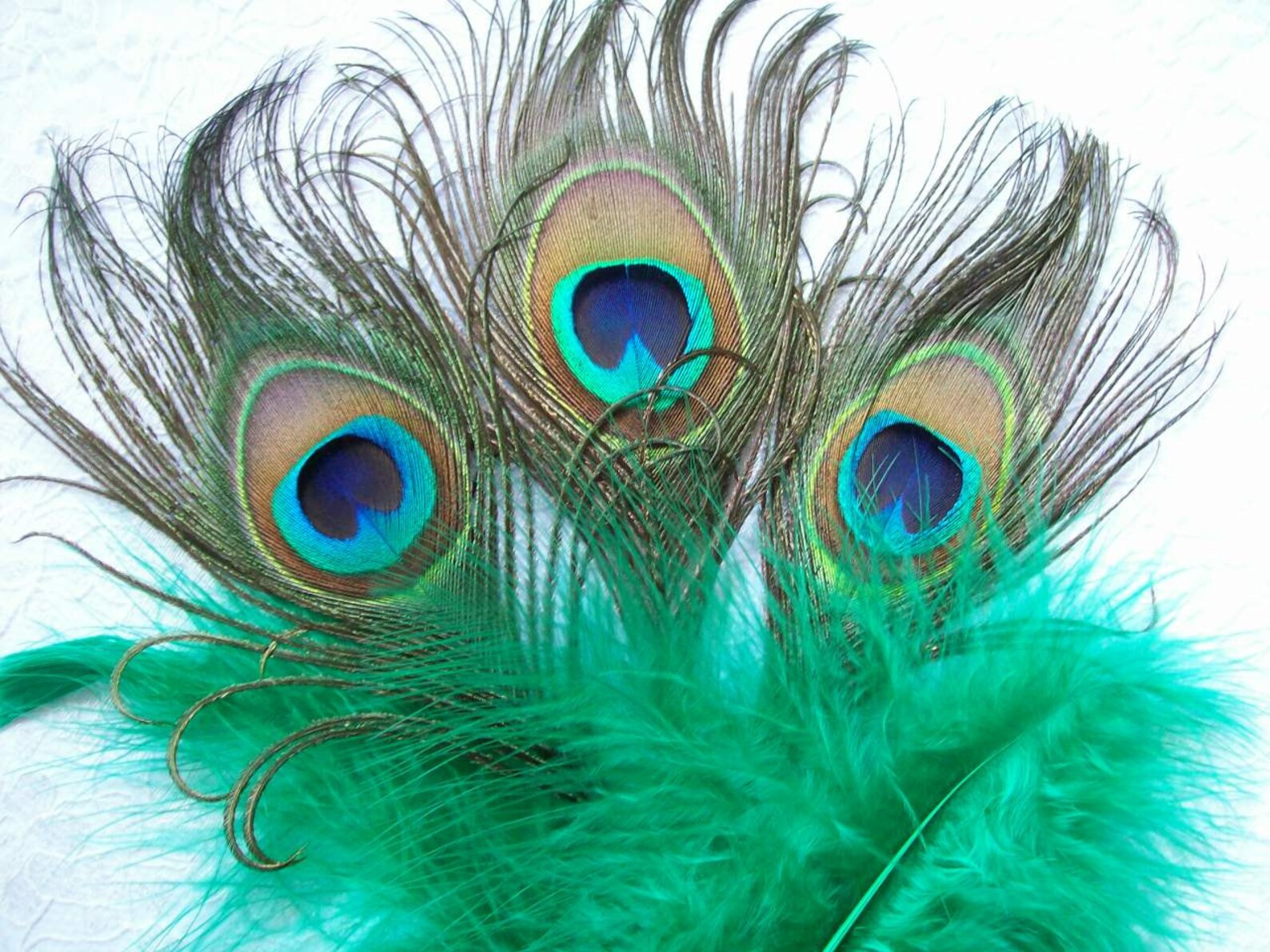 Unique and Pretty Peacock Feather Lace and Pearl Oversized - Etsy