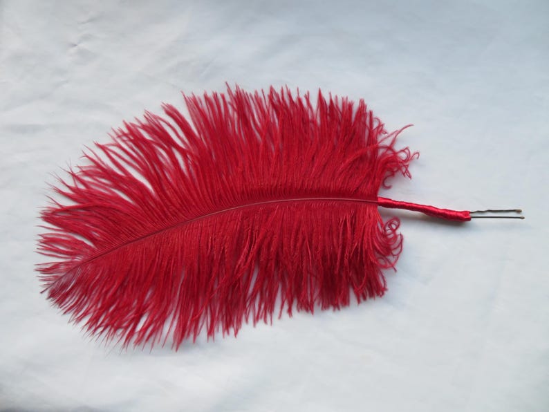Regency-inspired Ostrich Feather Hair Piece – Plume for Weddings, Balls ...