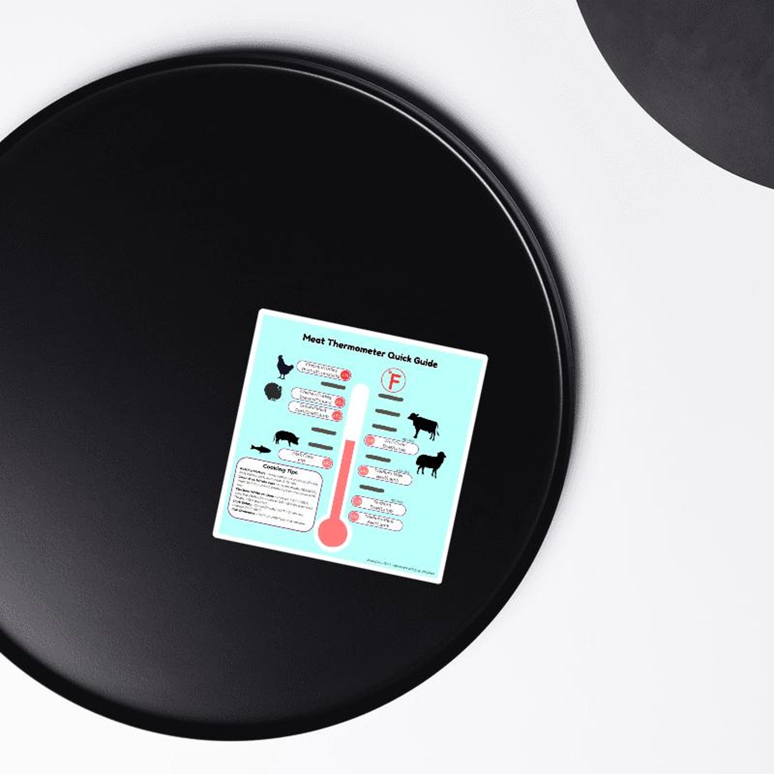 Meat Temperature Magnet: USDA Safe Cooking Temps Kitchen Guide - Etsy