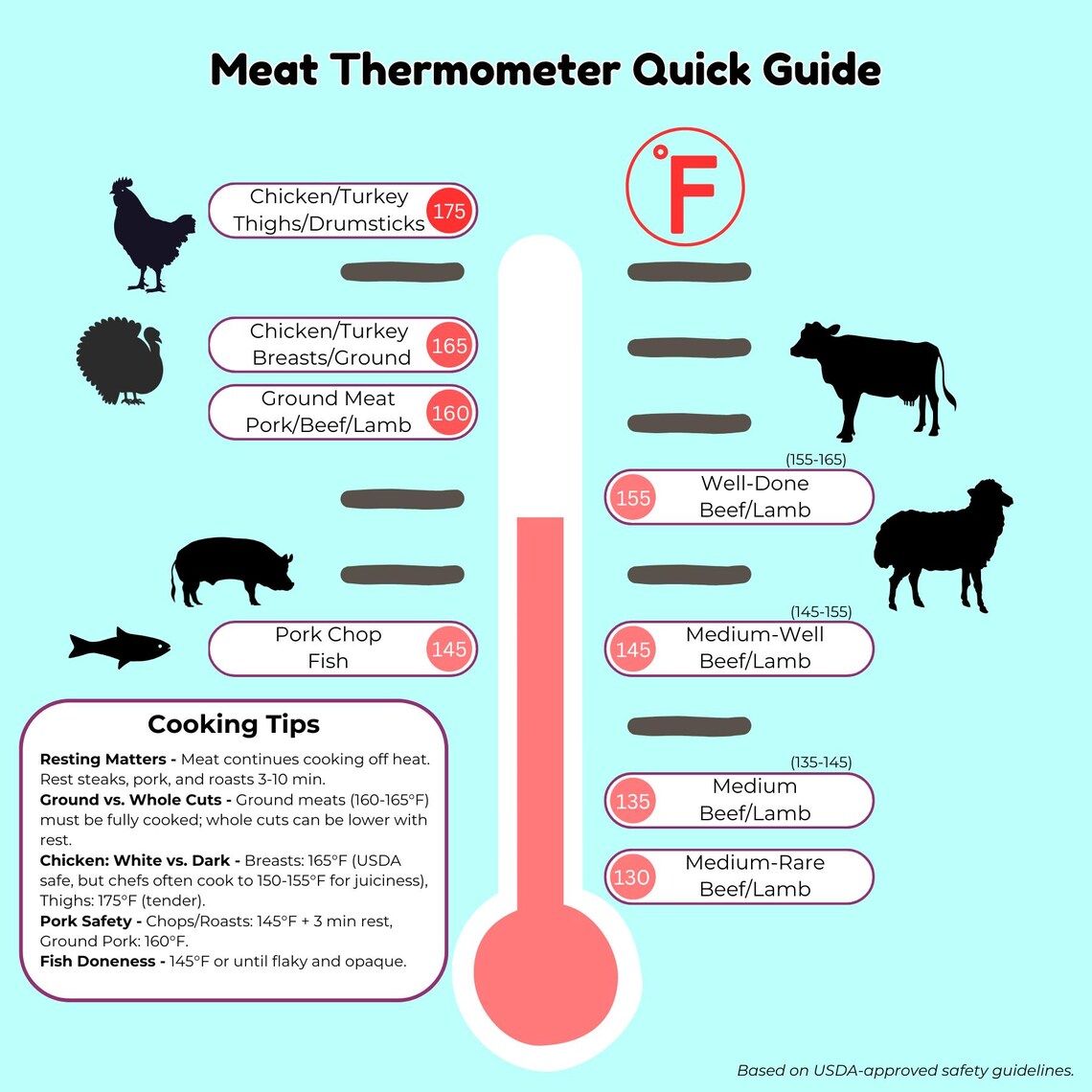 Meat Temperature Magnet: USDA Safe Cooking Temps Kitchen Guide - Etsy