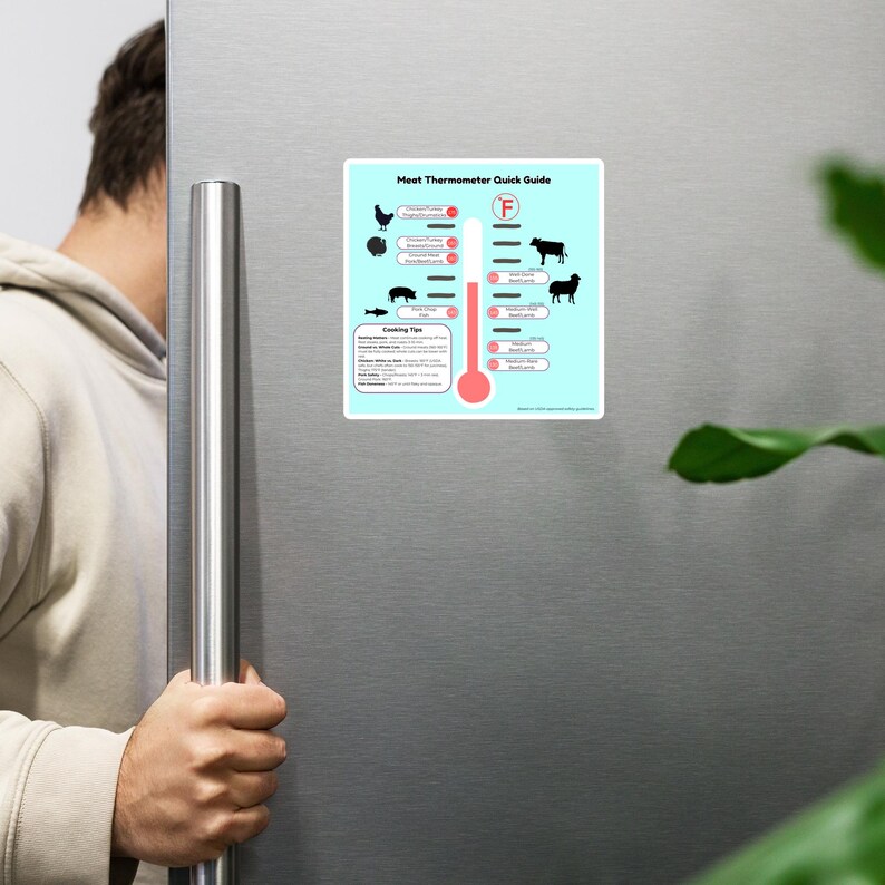 Meat Temperature Magnet: USDA Safe Cooking Temps Kitchen Guide - Etsy