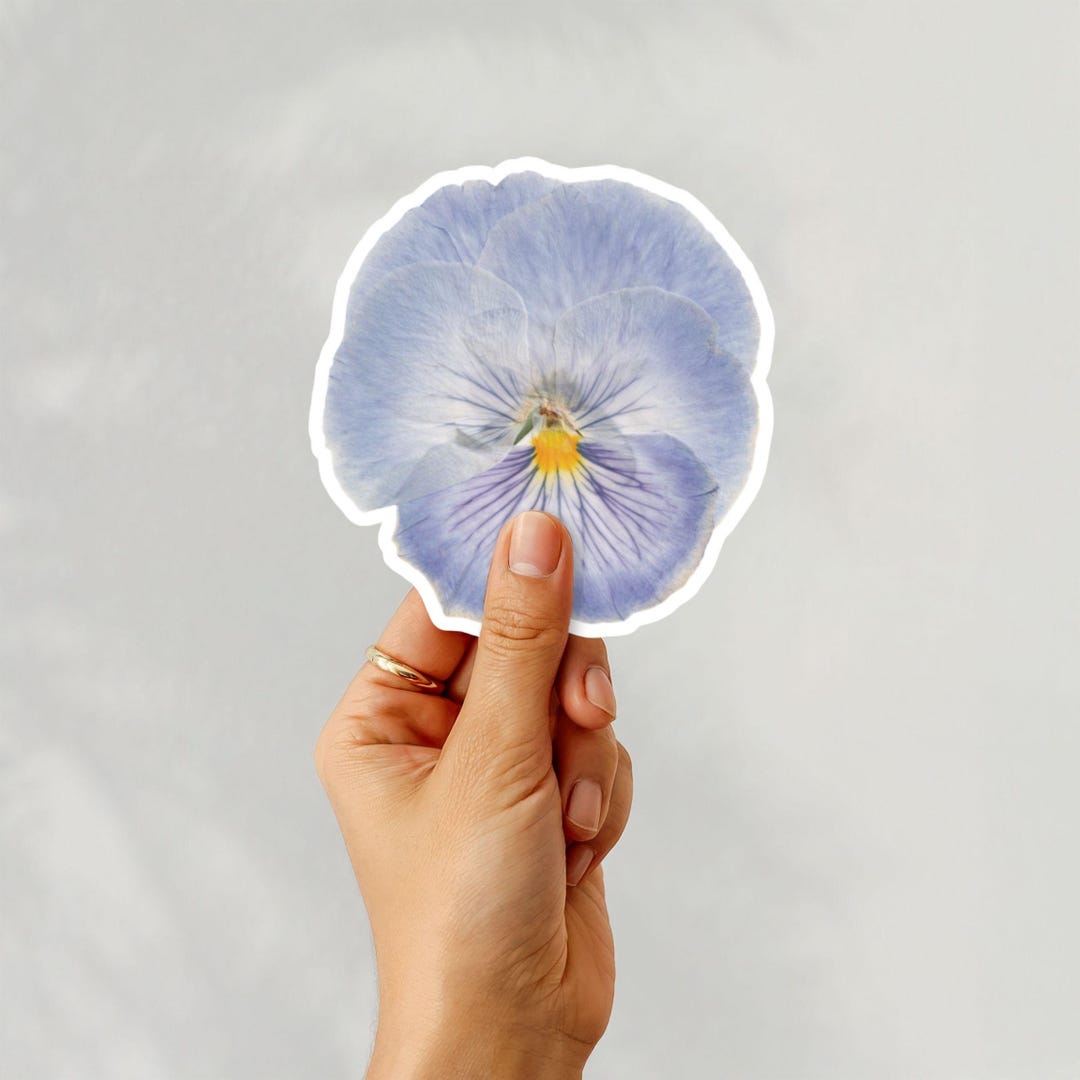 Pressed Pansy Flower Stickers, Journal Scrapbooking Card Making, Light ...