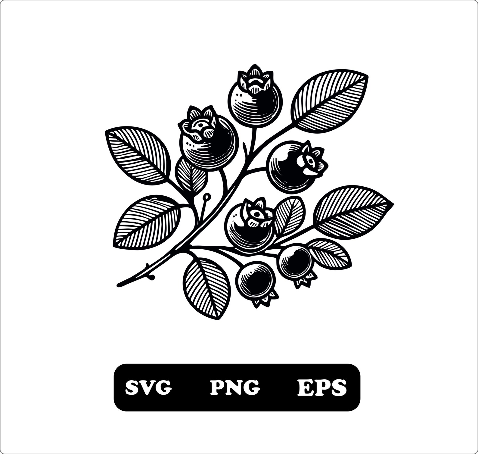 Blueberry Svg, Farming, Berries Png, Nature's Gifts - Etsy