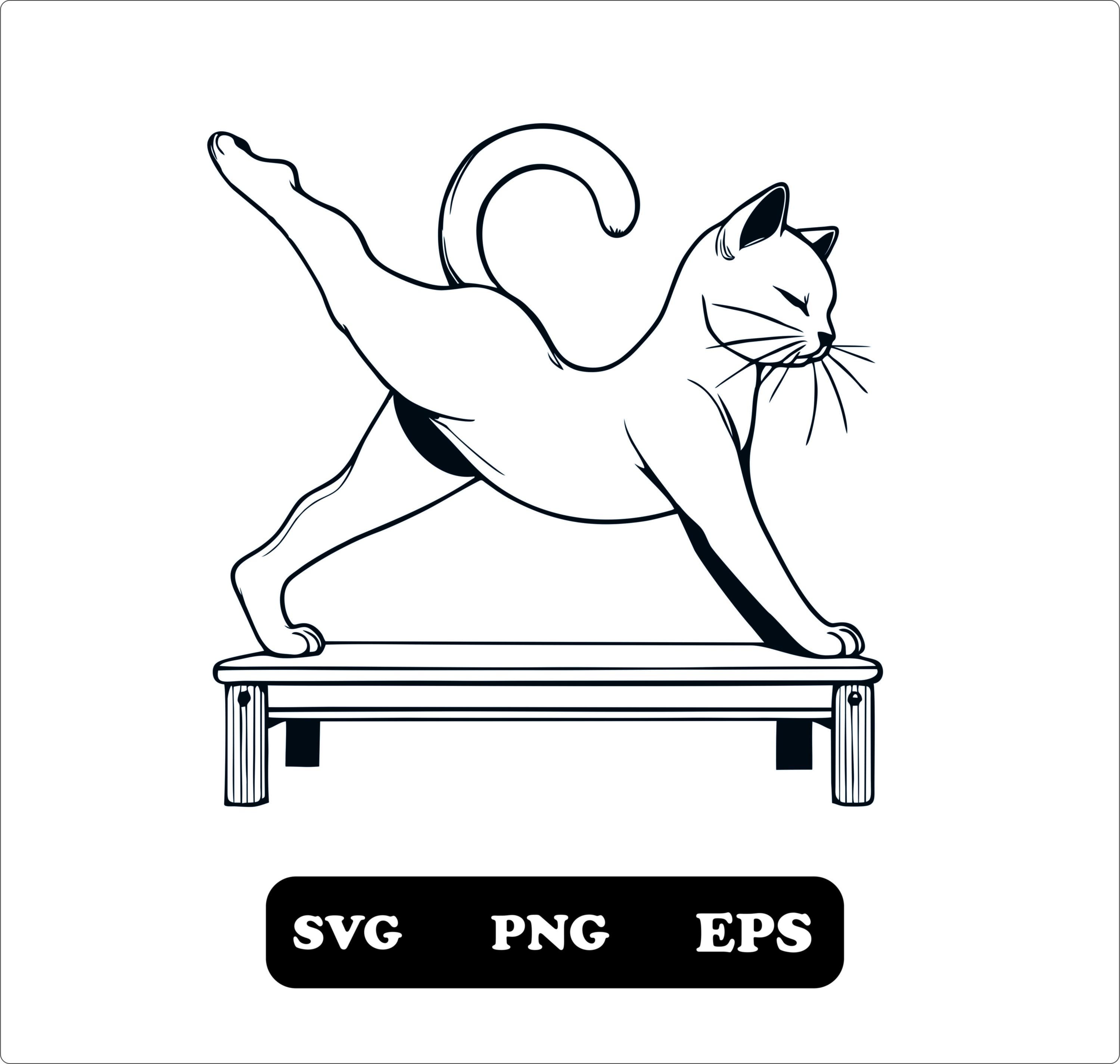 Cat Pilates Svg, Yoga, Ballet, Exercise in Vector - Etsy