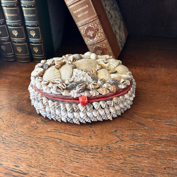 Shell Box - Etsy
