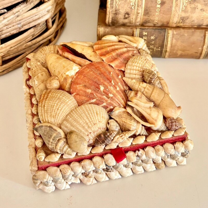 Seashell Box - Etsy